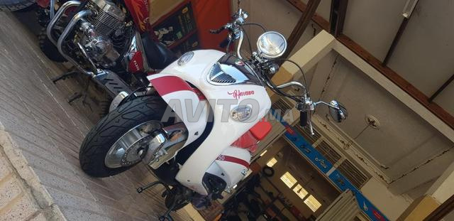 Cimatti à vendre dans Tout le Maroc dans Motos | Avito.ma