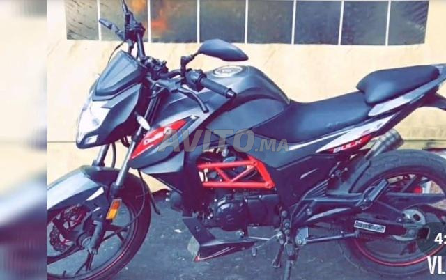 Cimatti à vendre dans Tout le Maroc dans Motos | Avito.ma